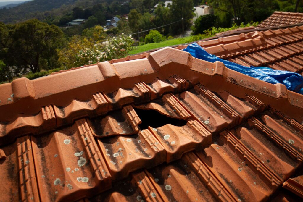 Our Roof Services - Roof Repairs Perth WA
